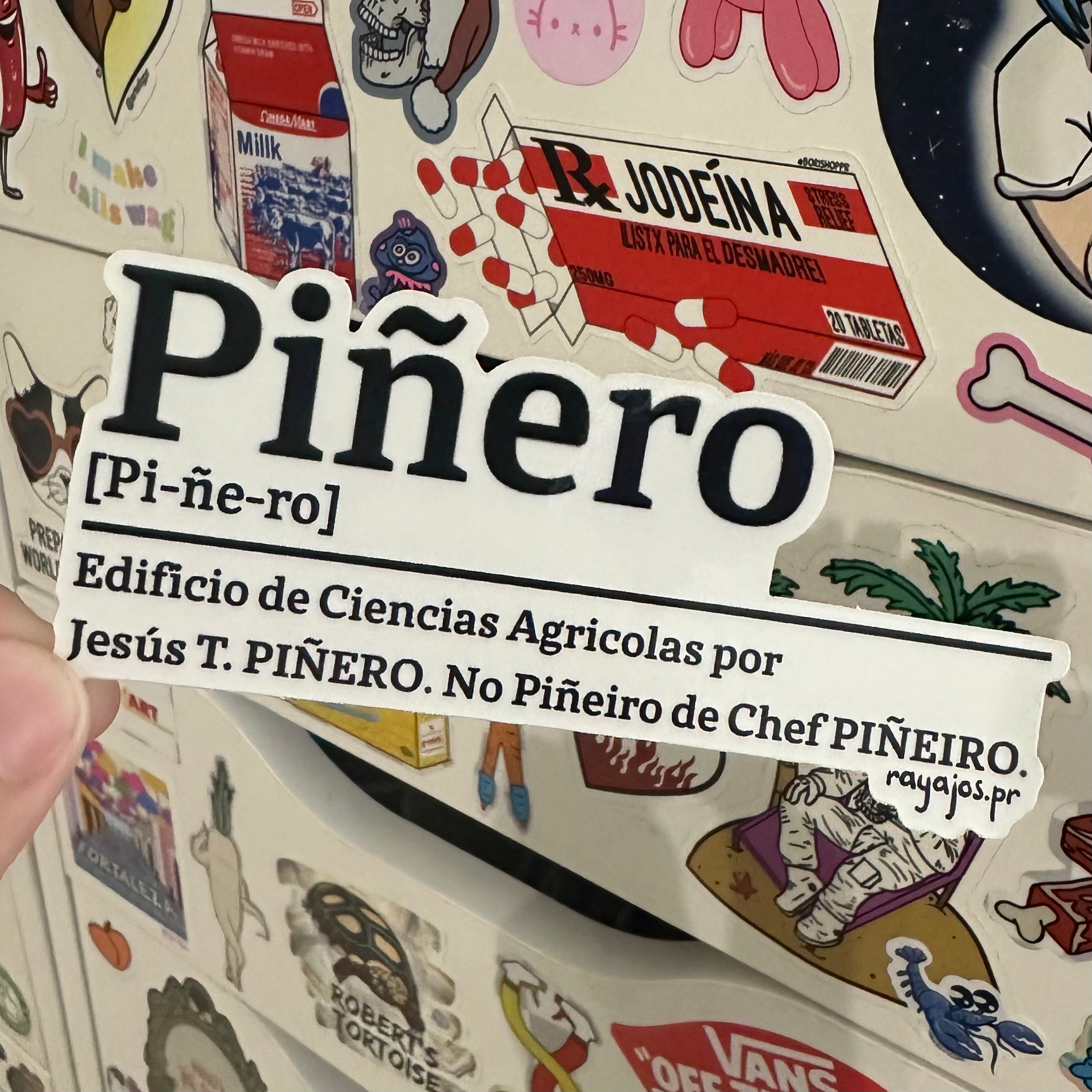 Piñero 🌿 – Rayajos PR